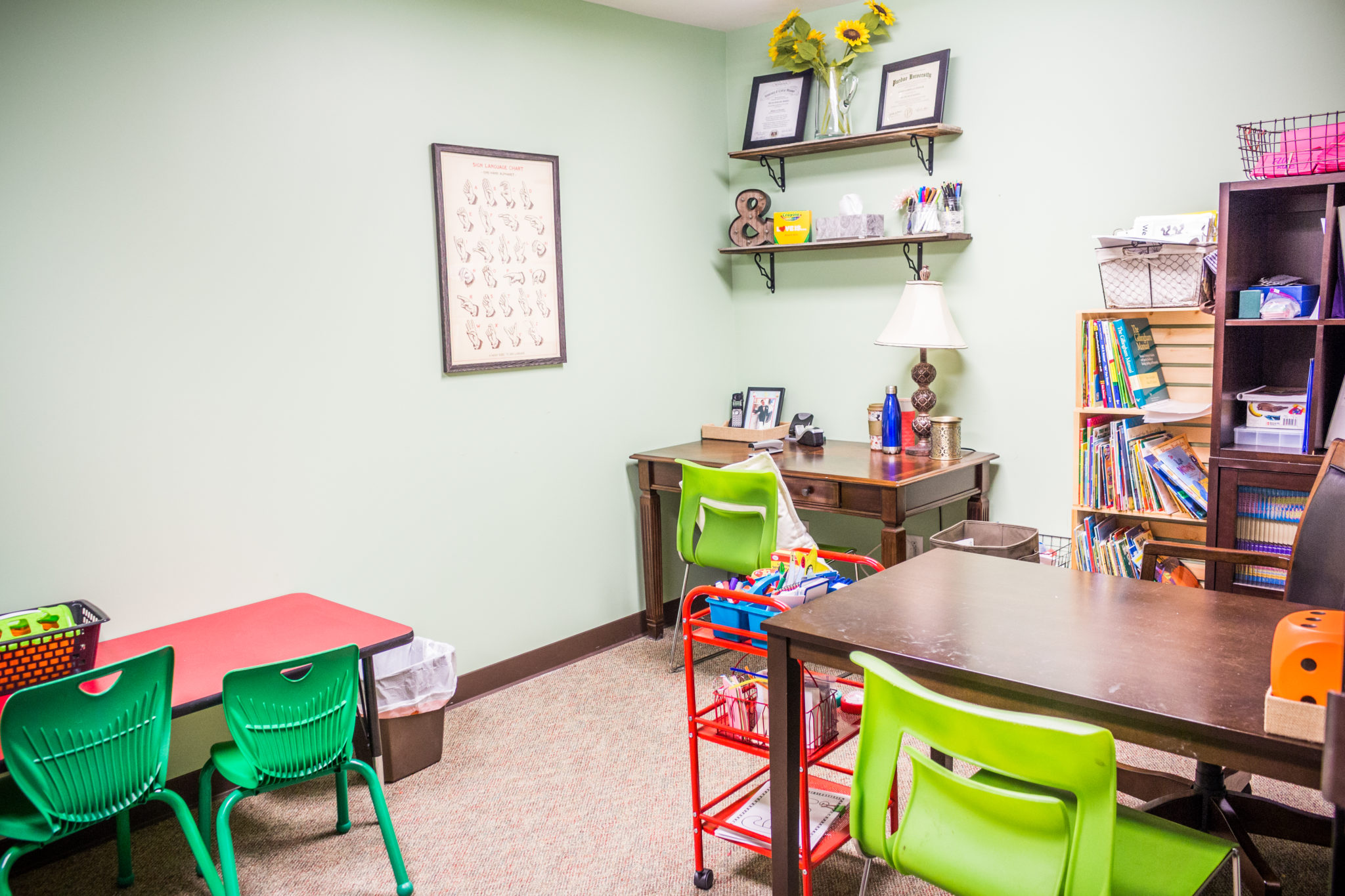 The Power of Pediatric Therapy - Project Play Therapy
