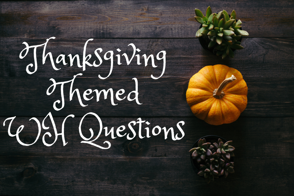 Thanksgiving Themed WH Questions - Project Play Therapy