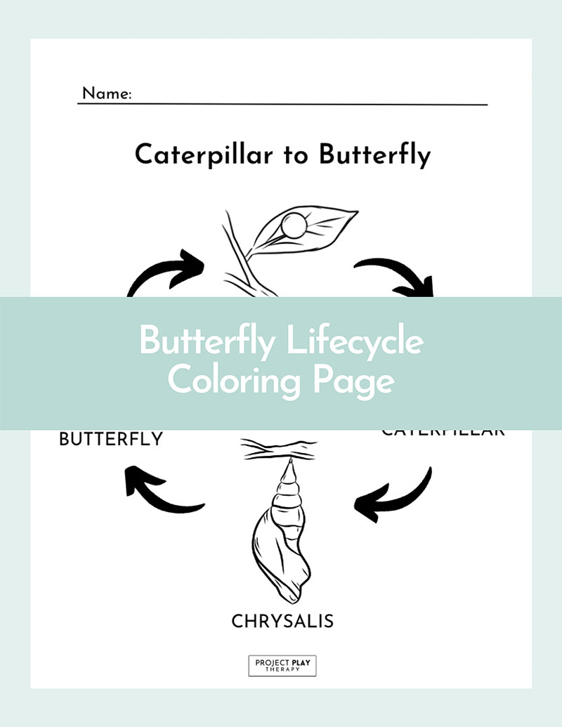 Butterfly Life Cycle for Kids | Butterfly Coloring Page